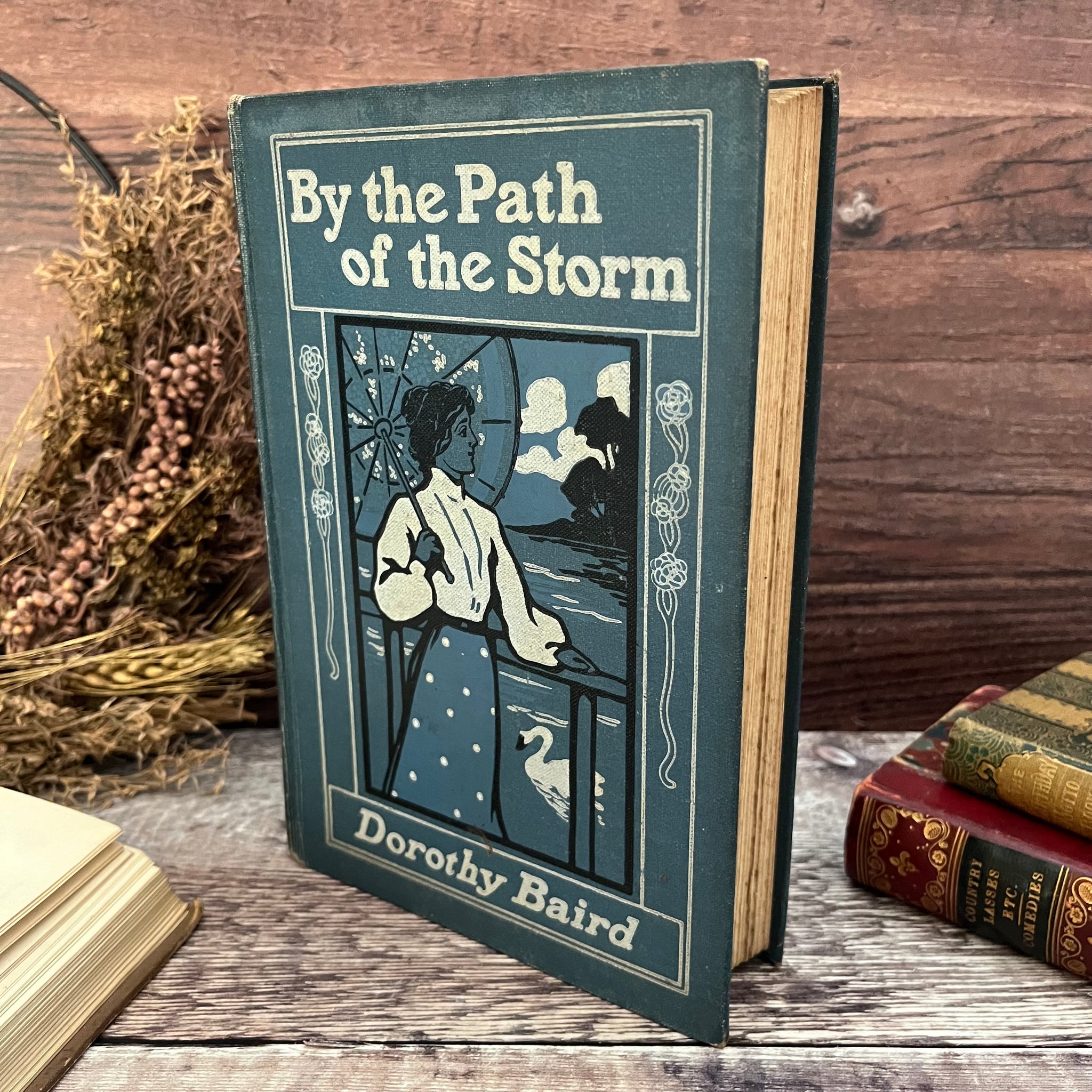 By the Path of the Storm by Dorothy Baird Beautiful Pictorial Floral B ...