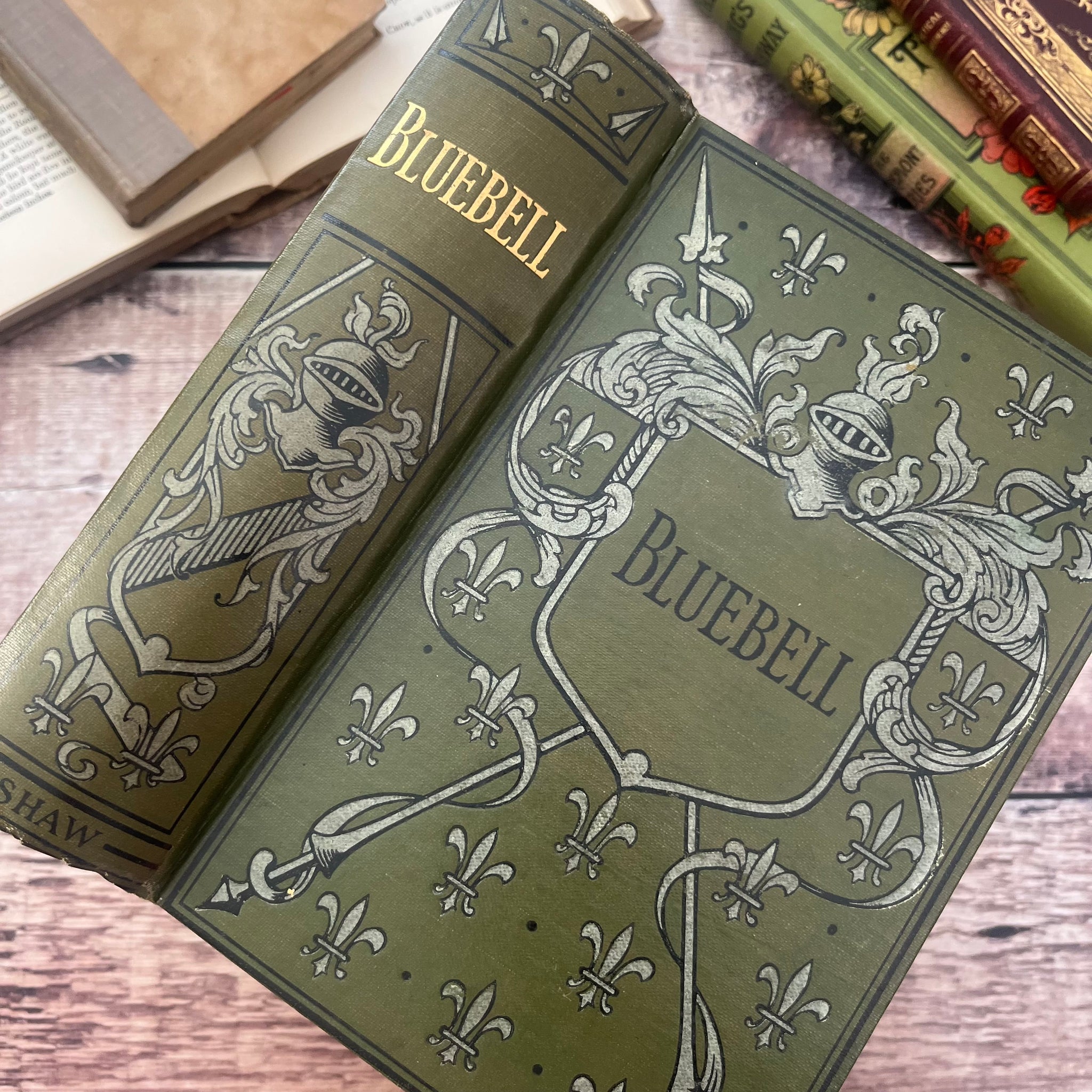 Bluebell by Emma Marshall Striking Pictorial Binding Antique Book – The ...
