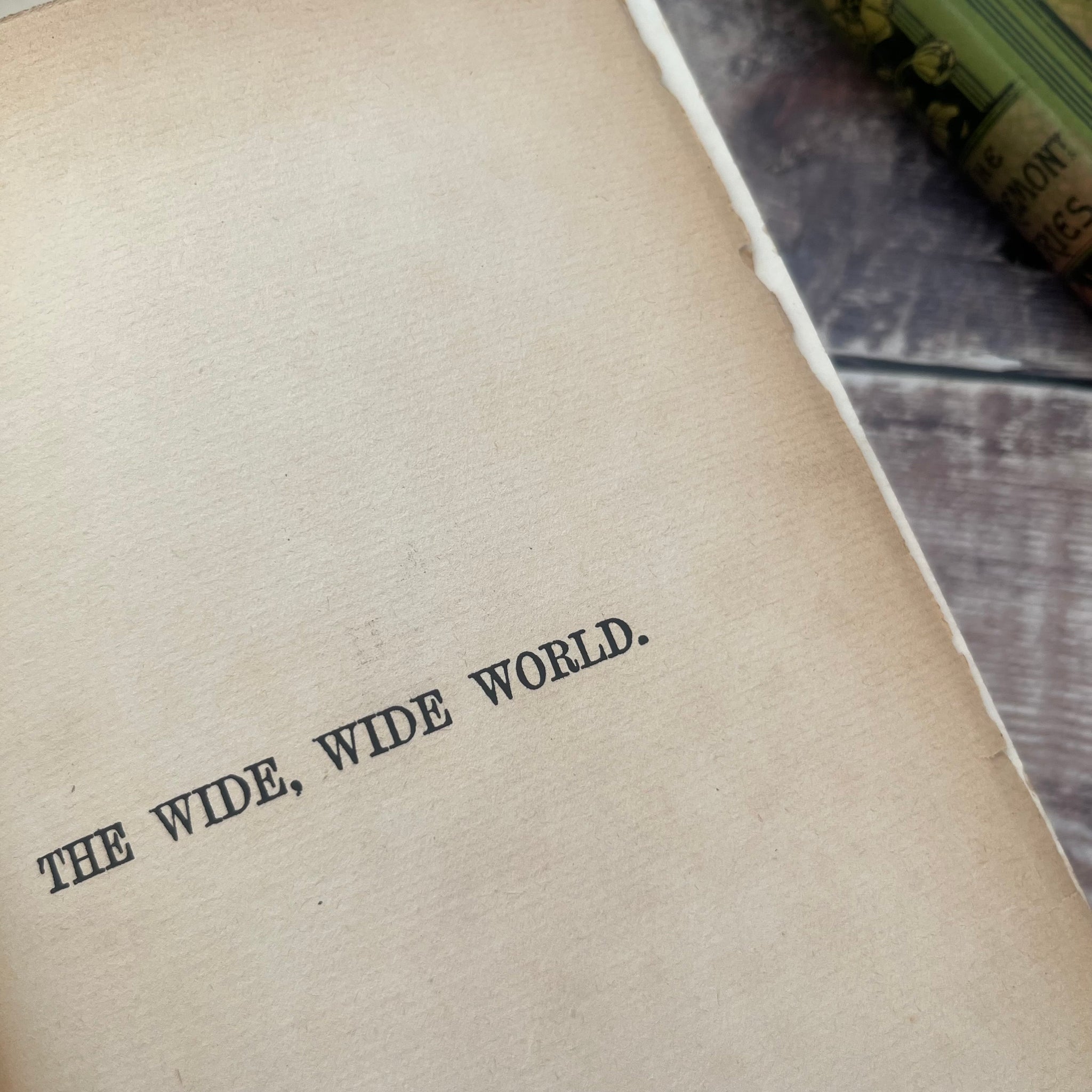 Custom Order - Reserved for Rui – The Vintage Bookworm UK