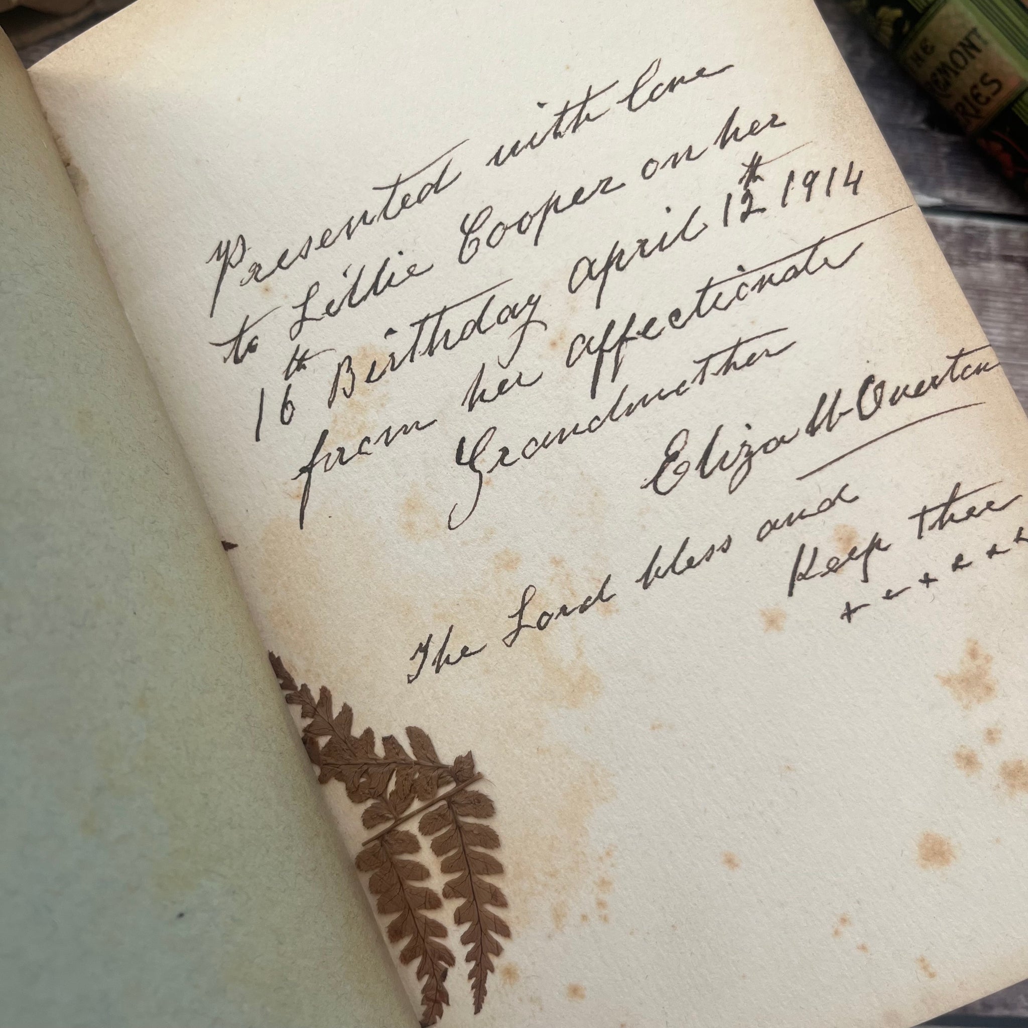 Bluebell by Emma Marshall Striking Pictorial Binding Antique Book – The ...